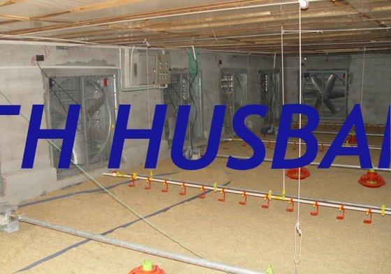 farm fan, ventilation fan, animal fan,Chicken Drinker, Animal Husbandry, Poultry fan