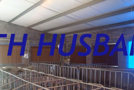 Poultry cooling pad Greenhouse fan Egypt Pakistan Saudi Arabia and Sudan