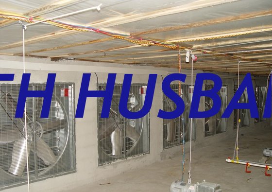 Chicken Farm Cooling pad System in the Hot Weather