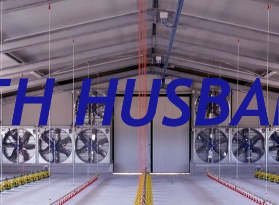 Chicken Farm Cooling Fan System