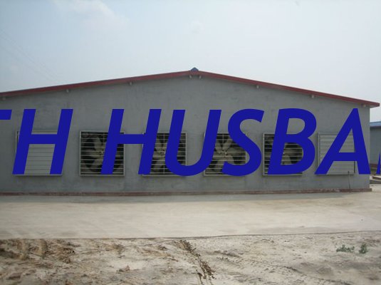 chicken house ventilation fan