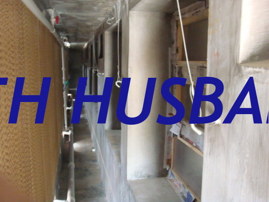 industry/greenhouse/poultry house ventilation fan with CE certification