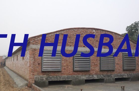 Chicken House Cooling Pad Greenhouse poultry fan South Africa's largest supplier