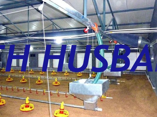Poultry Equipment , Stockbreeding Machine , Poultry cellulose Cooling Pad NorthHusbandry