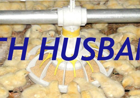 Poultry Equipment , Stockbreeding Machine , Poultry cellulose Cooling Pad NorthHusbandry