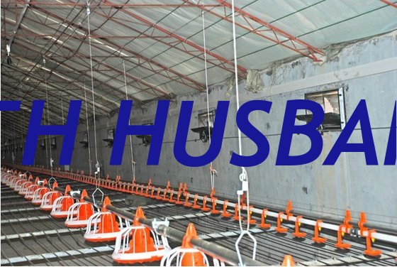Poultry Equipment , Stockbreeding Machine , Poultry cellulose Cooling Pad NorthHusbandry
