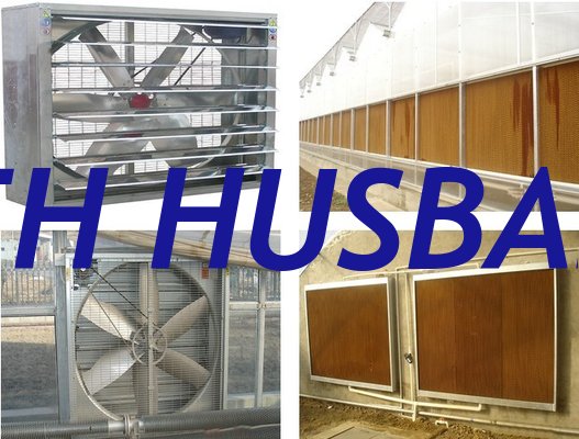 Poultry Equipment Cooling Pad In Port Sudan