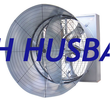Egg-centric poultry fan opens chicken hotel  - NorthHusbandry Machinery