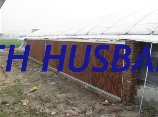 Wet curtain Poultry fan Evaporative Cooling pad - NorthHusbandry Machinery