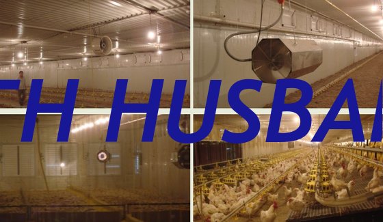 Cooling pad for poultry equipment - Detailed info for Cooling pad for house