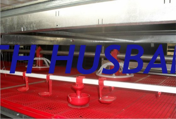 Automatic feed and ventilation equipment for broiler chicken breeding