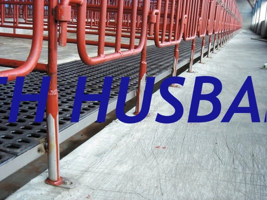 Eurotier Hannover 2010 Hannover Germany - - NorthHusbandry Machinery