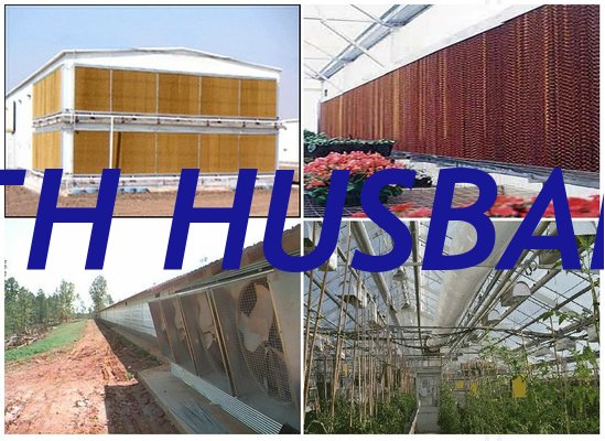 Cellulose Evaporative Cooling Pad for Poultry and Green House