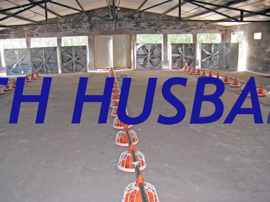 Feeding system - Poultry fan , Poultry equipment 
