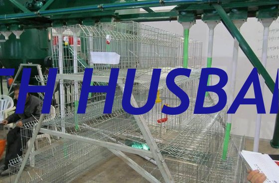 Poultry Cages - Poultry Equipment and Poultry Exhaust Fans