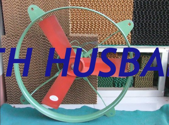 Husbandry of livestock and poultry,poultry equipment,ventilation fan