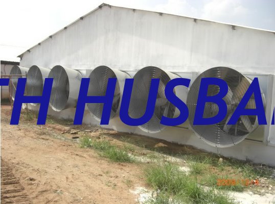 Butterfly type cone fan - Poultry fan , Poultry equipment
