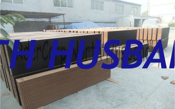 High Quality 5090 cooling pad system for Greenhouse