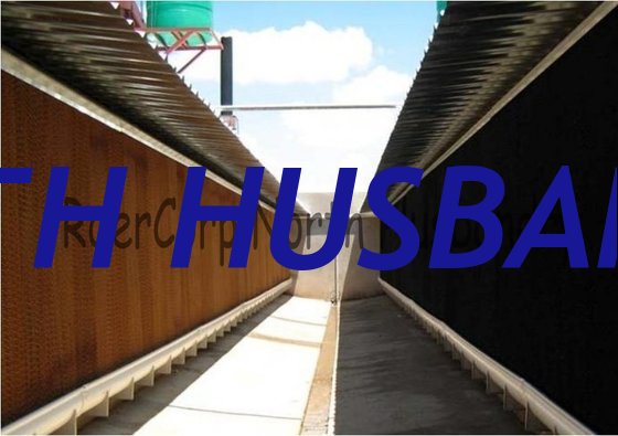 High Quality 5090 evaporative cooling pad system for Greenhouse