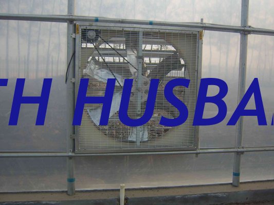 High quality heavy hammer exhaust fan