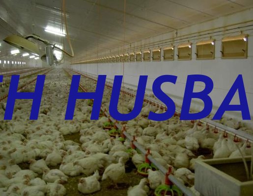 Intensive Farming Construction was get through for RderCorp NorthHusbandry