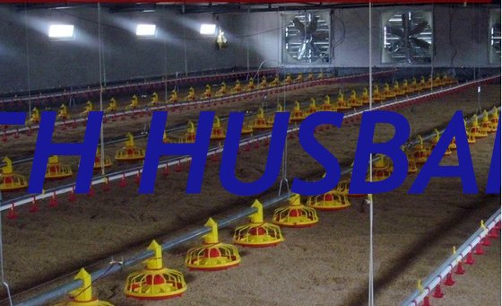 2013 Intensive Farming Construction was get through for RderCorp NorthHusbandry
