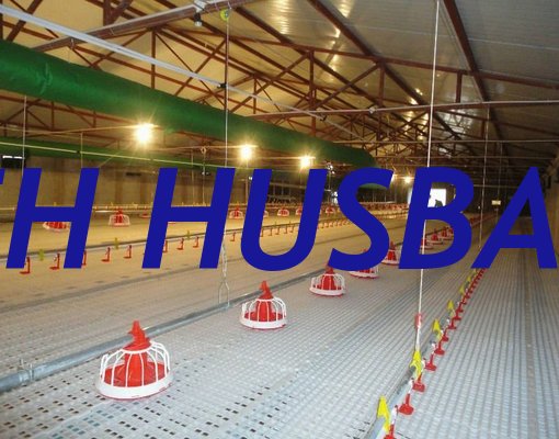 buy Poultry Feeding System - high quality Manufacturers,Suppliers