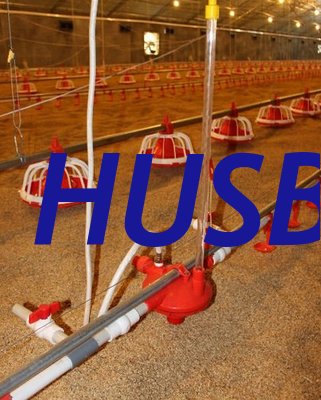 Example risk assessment for poultry farm: case study