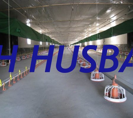 poultry equipment, poultry farm, poultry farming, poultry feed, 