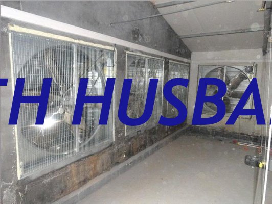 North Husbandry Cooling Pad For Poultry House