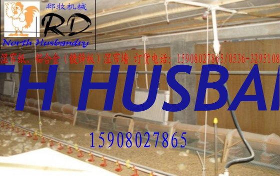 Sell Evaporative Cooling pad for poultry farm - high quality ...