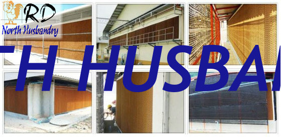 corrugated cellulose evaporative cooling pad for greenhouse|poultry house
