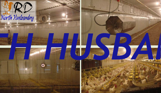  Evaporative Cooling Pad for Poultry Farm