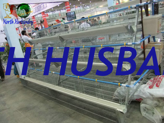 poultry cage for large scale poultry feedcage
