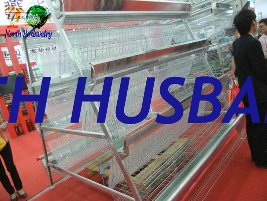 poultry farm layer cage