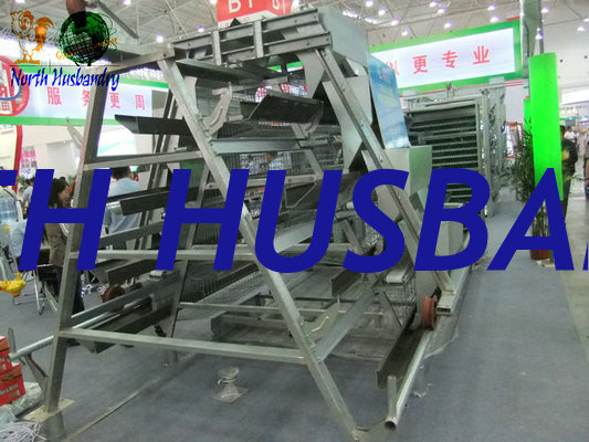 poultry farm layer cage