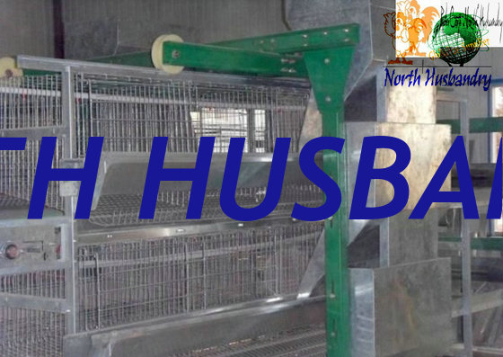 poultry cage