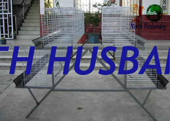 poultry farm cage design