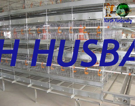professional poultry cages