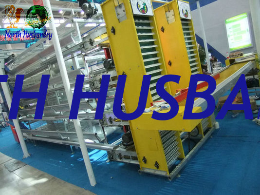 egg laying poultry cages supply