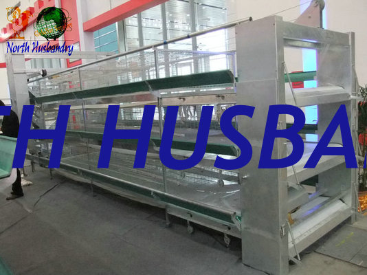 poultry cages for egg layer farm