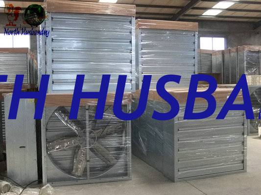 North&Husbandry-Poultry fan,Ventilation fan,Exhaust fan-50''/36''Box Fan-box fan