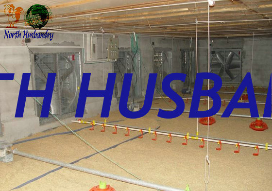 North&Husbandry-Poultry Fans - Galvanized Steel Exhaust Fans, Exhaust Basket Fans