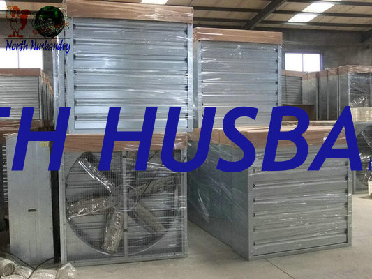 50" drop hammer poultry fan cooling fan