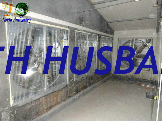poultry fan for chicken house