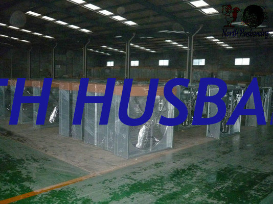 heavy hammer poultry fan with CCC/CE certification