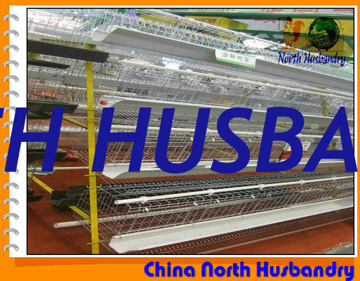 Poultry Cage, Poultry Cage Products, Poultry Cage Suppliers