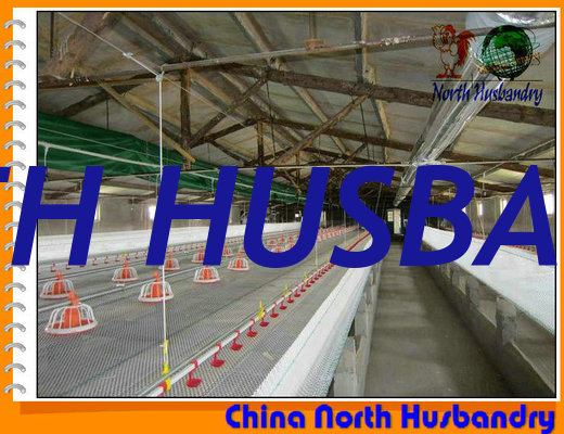 Breeder Cage System of Poultry Cages - Poultry Farm