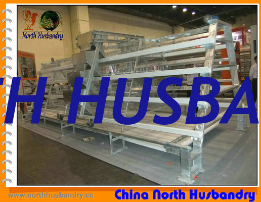 Poultry Cages - Broiler Breeder Layer Cages, Battery Cages For