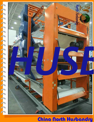 Poultry Cage,Chicken Cage,Layer Cage